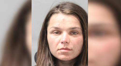 Missing Toronto Woman Presents Public Health Safety Risk Police News