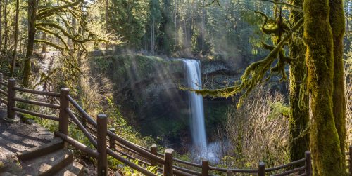 8 Stunning Hiking Trails To Check Out Around Portland Lifestyle
