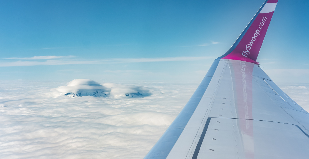 Passenger sues Swoop Airlines for delay that cost him two days | National Passenger sues Swoop Airlines for delay that cost him two days | National